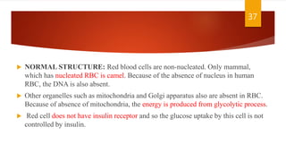 Blood and Blood related disorders | PPTX