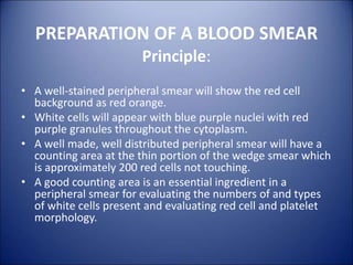 Blood smear | PPT
