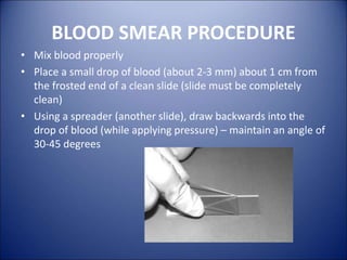 Blood smear | PPT