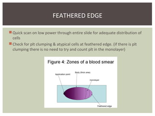 Blood smear evaluation | PPT