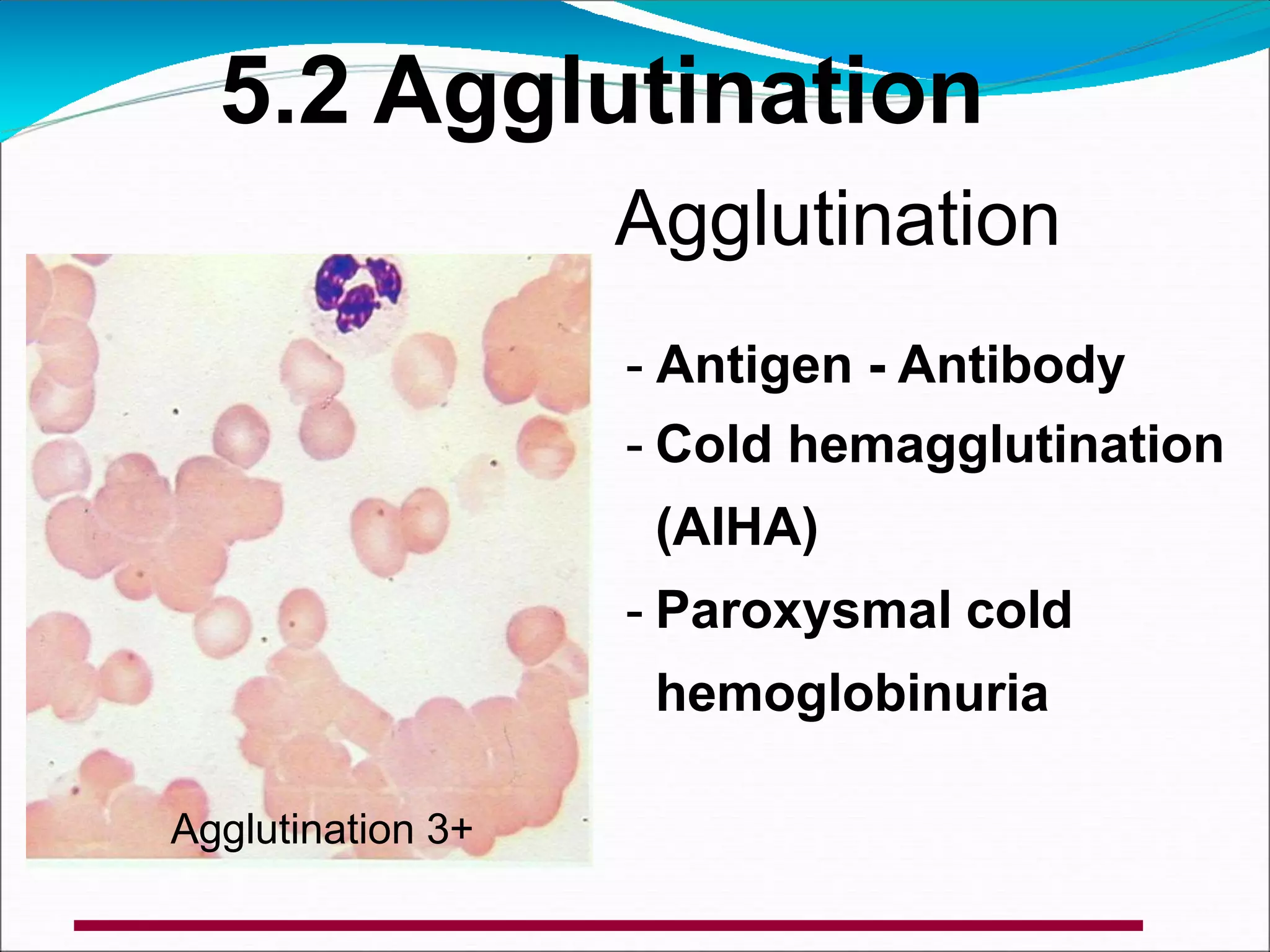 Blood smear examination 15.ppt.pptx