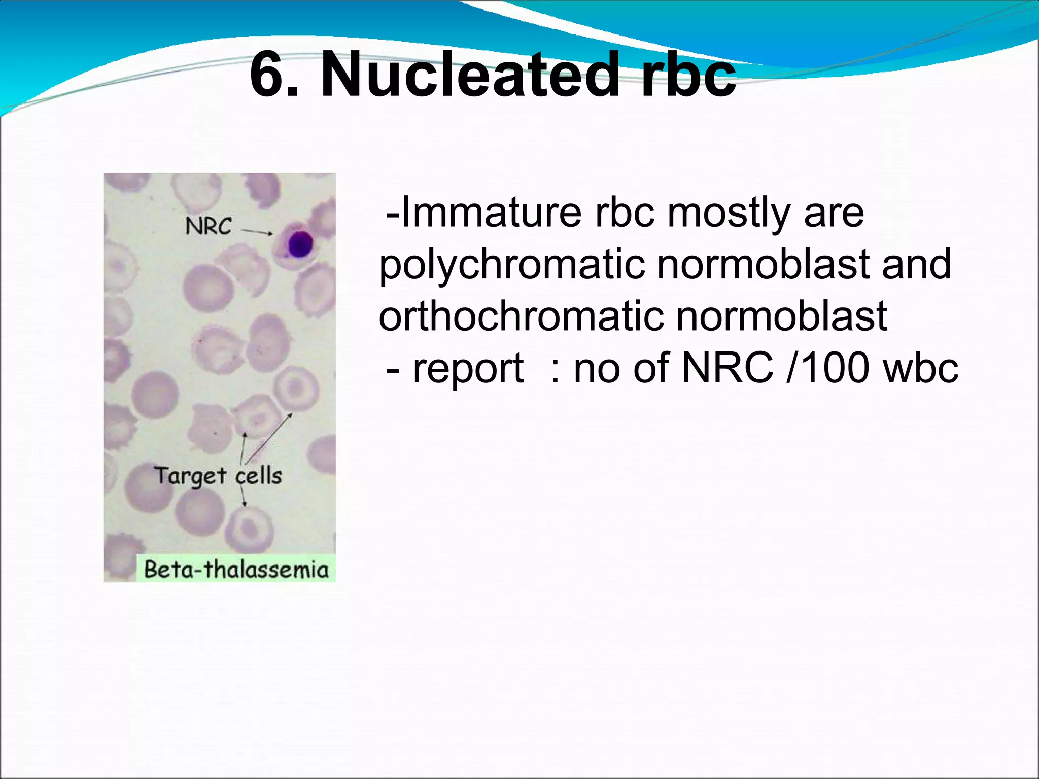Blood smear examination 15.ppt.pptx