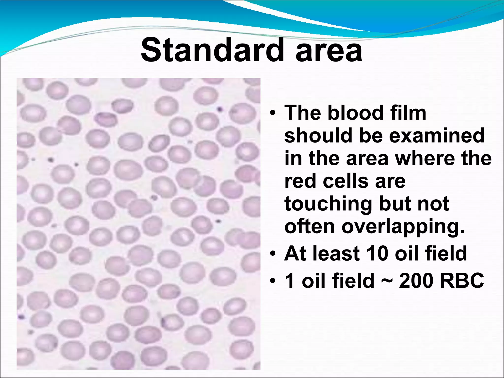 Blood smear examination 15.ppt.pptx