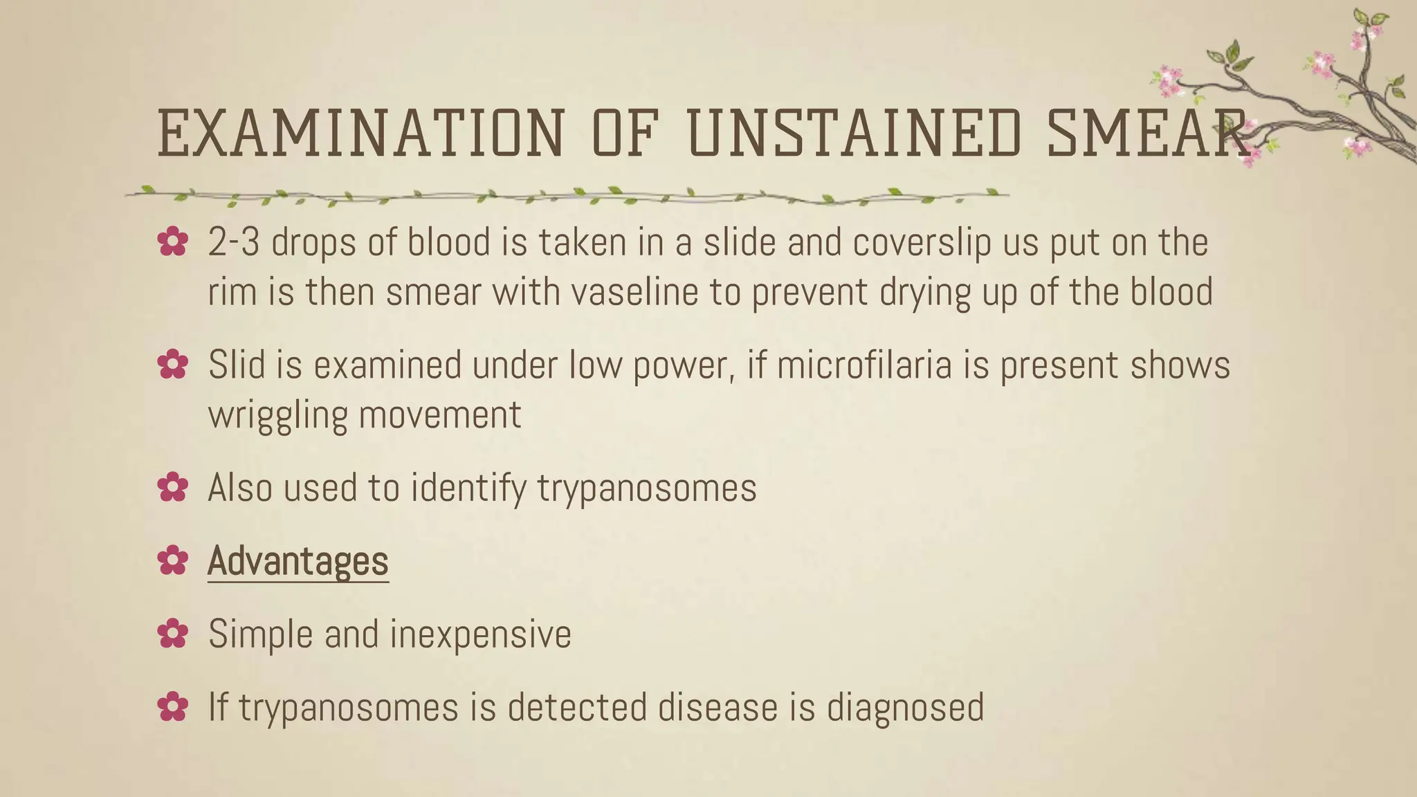 Blood Smear preparation.pptx