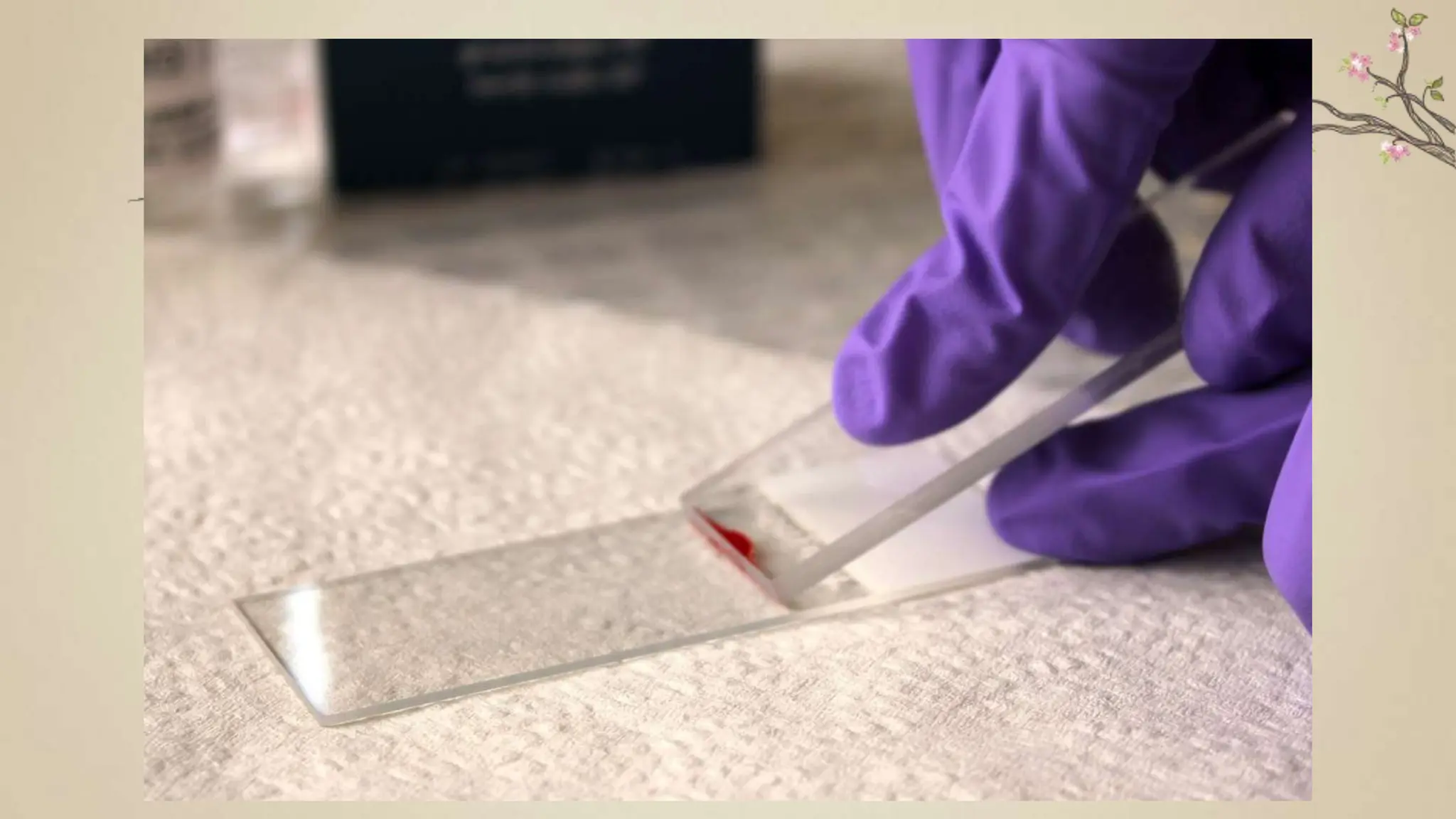 Blood Smear preparation.pptx