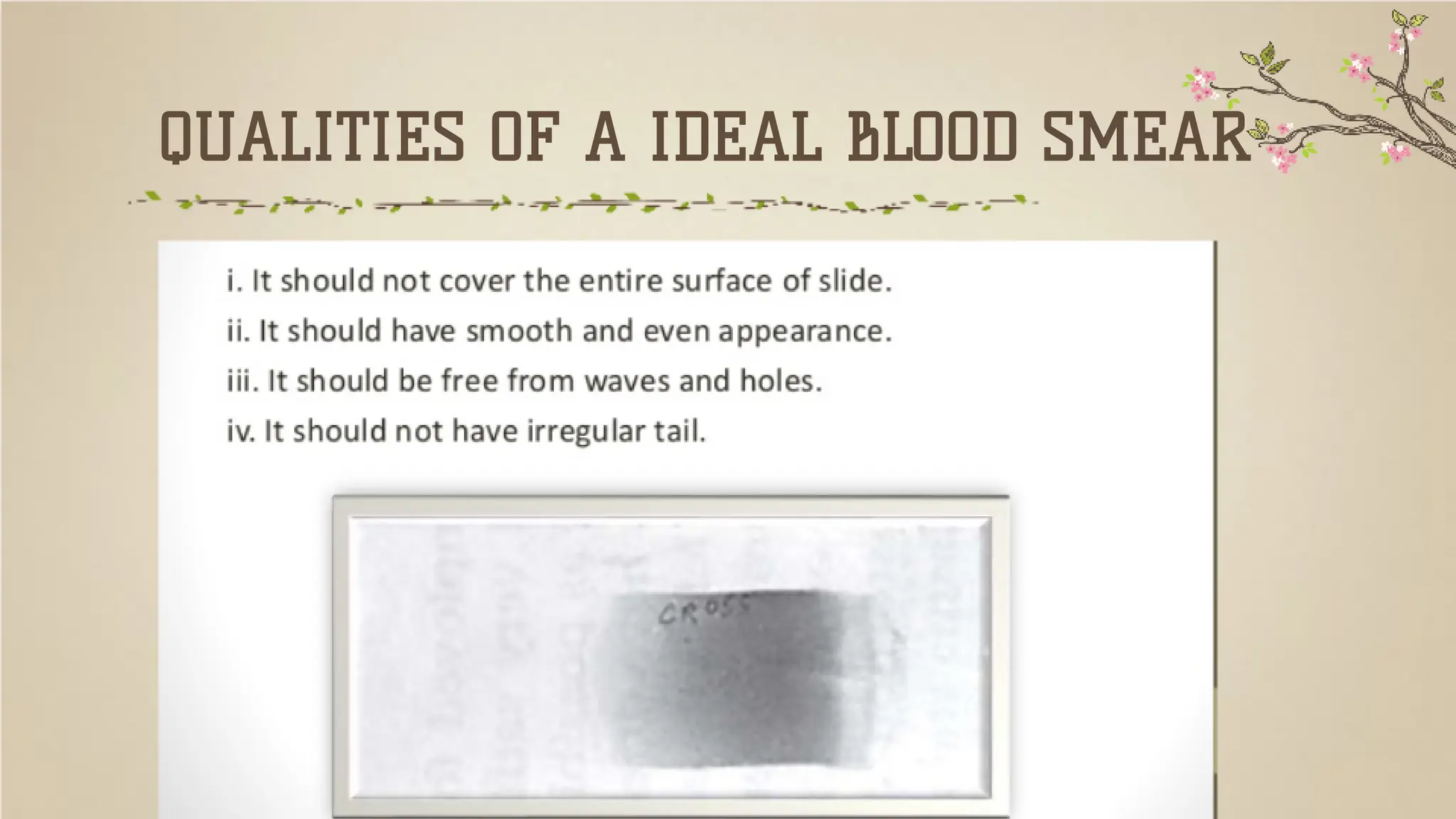 Blood Smear preparation.pdf