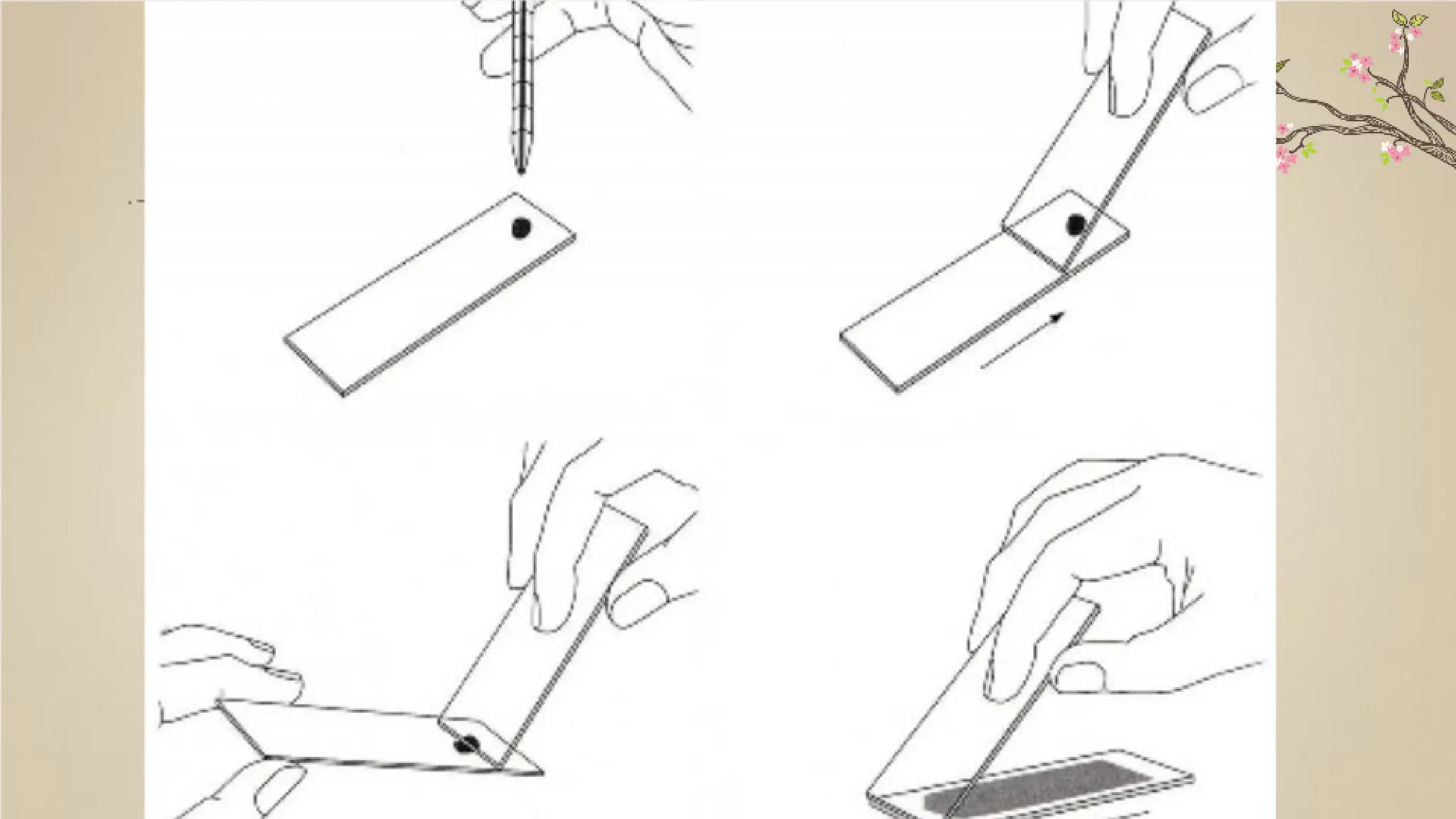 Blood Smear preparation.pdf