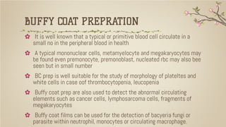 Blood Smear preparation.pdf