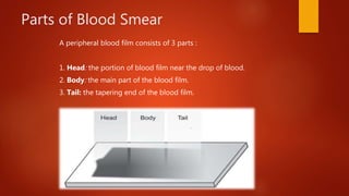 Blood smear preparation, fixation, staining. Veterinary Clinical ...