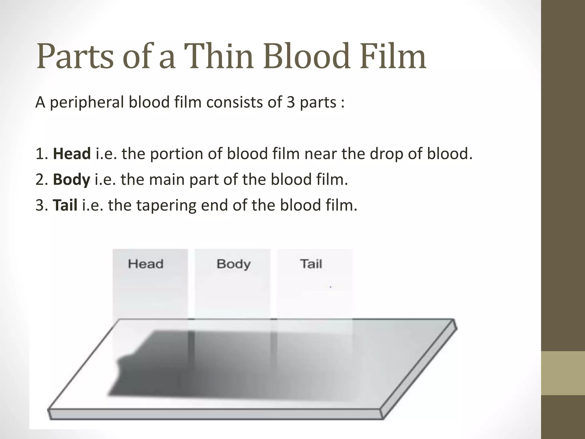 Blood smear staining | PPTX