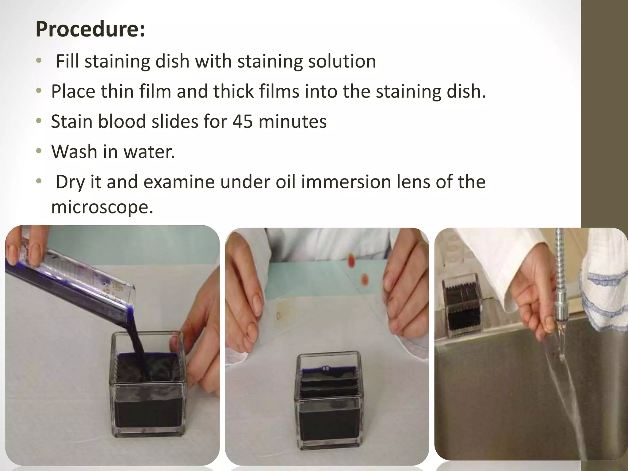 Blood smear staining | PPTX