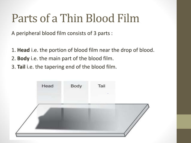 Blood smear staining | PPTX | Blood Disorders | Diseases and Conditions