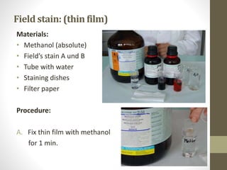 Blood smear staining | PPTX