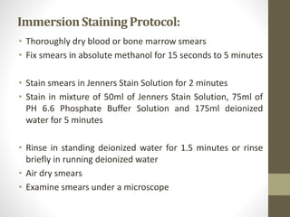 Blood smear staining | PPTX