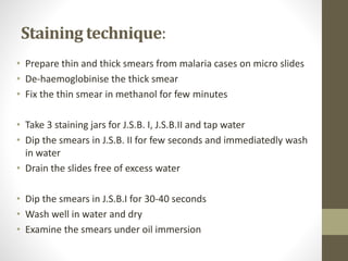 Blood smear staining | PPTX