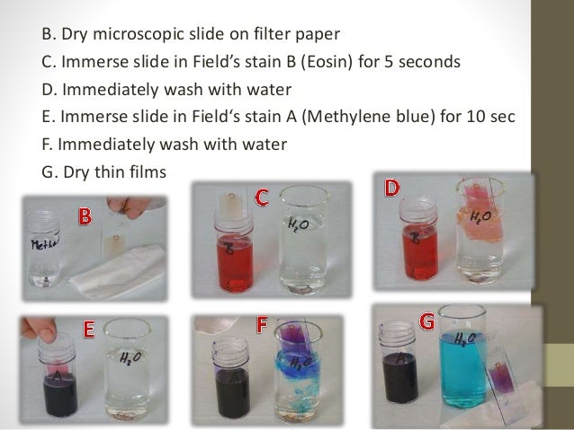 Blood smear staining