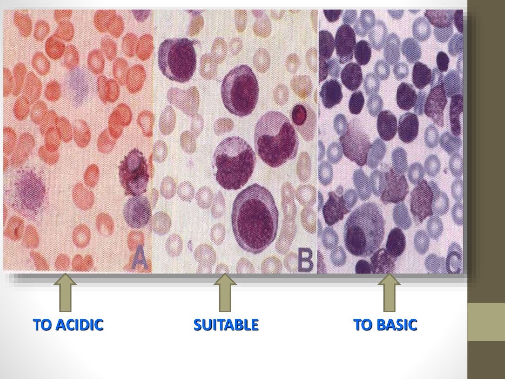 Blood smear staining