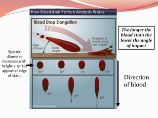 Blood spatter | PPTX