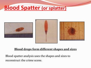 Blood spatter | PPTX