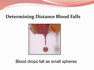 Blood spatter | PPTX