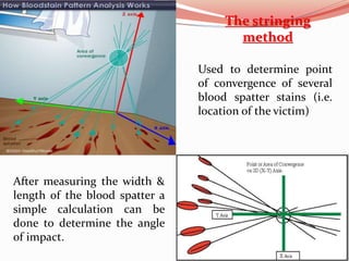 Blood Spatter Analysis Stringing