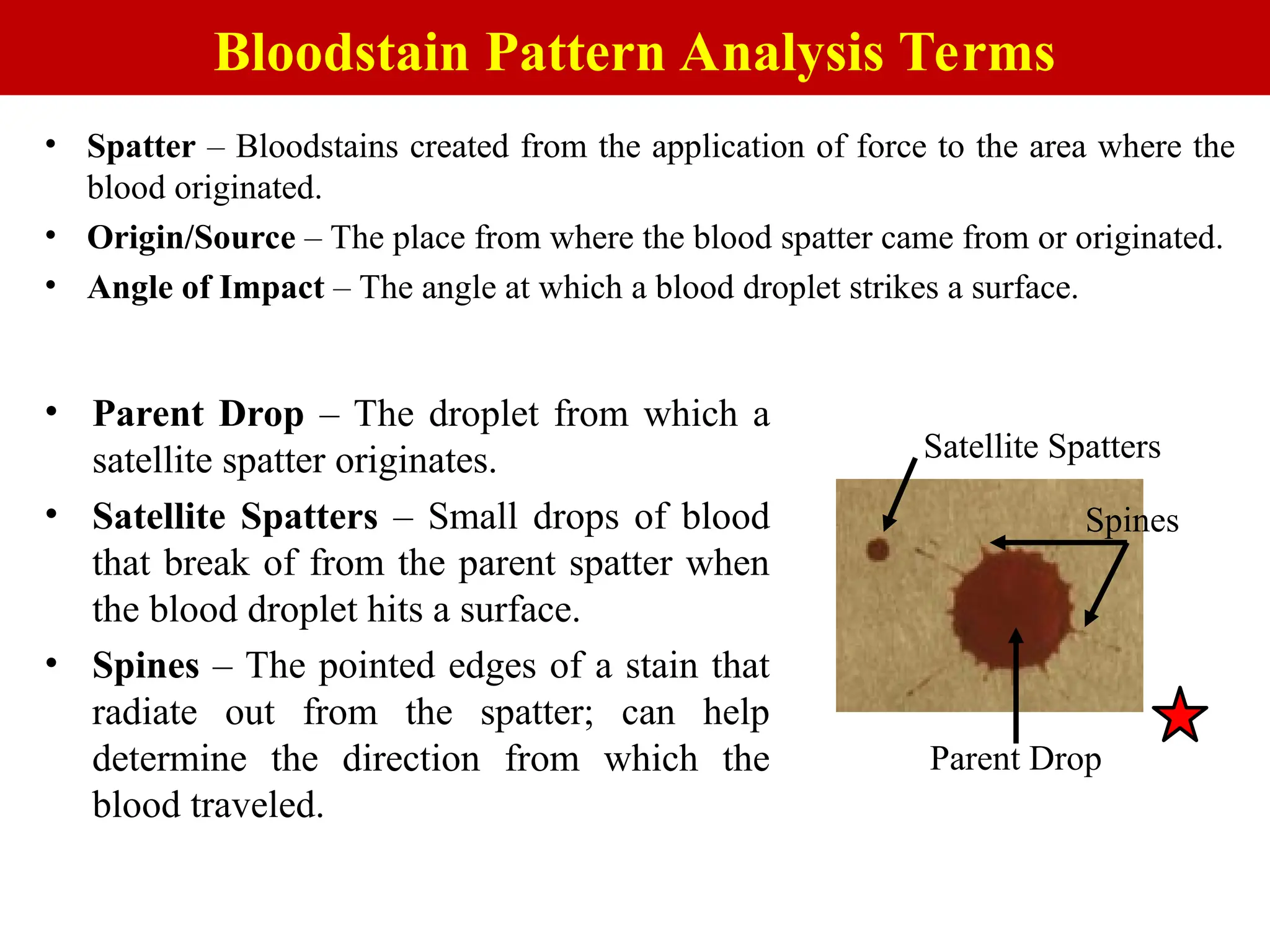 Blood spatter analysis is a key forensic technique used to reconstruct ...