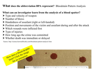 Blood spatter analysis is a key forensic technique used to reconstruct ...
