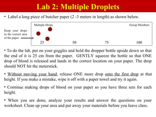 Blood Spatter PowerPoint | PPT
