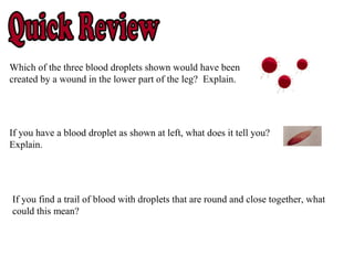 Blood Spatter PowerPoint | PPT