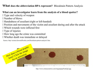 Blood Spatter PowerPoint | PPT
