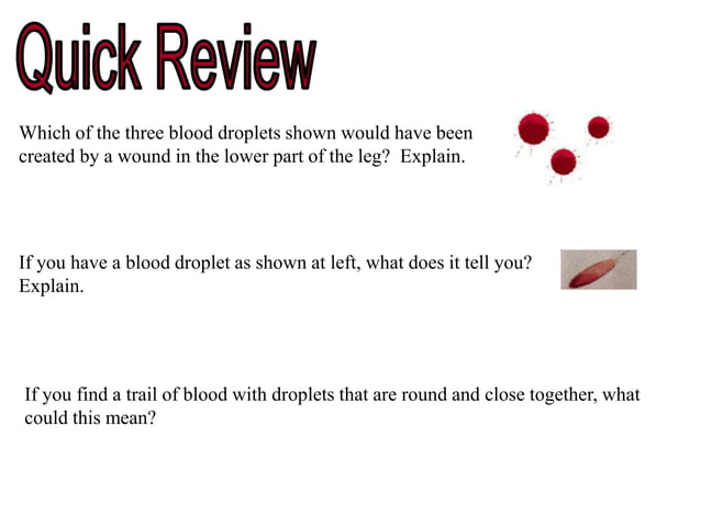 Blood spatter | PPT