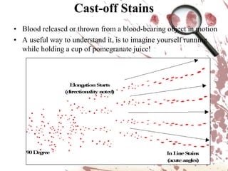 Blood spatter analysis | PPTX