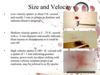 Blood spatter analysis | PPTX