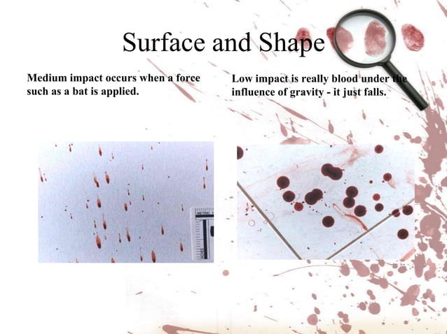 Blood spatter analysis | PPTX