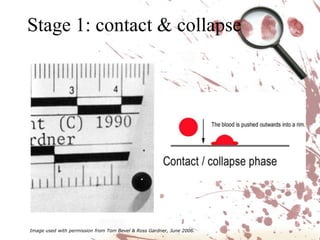 Blood spatter analysis | PPTX
