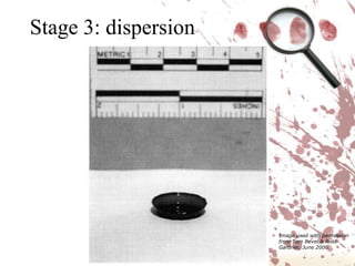 Blood spatter analysis | PPTX
