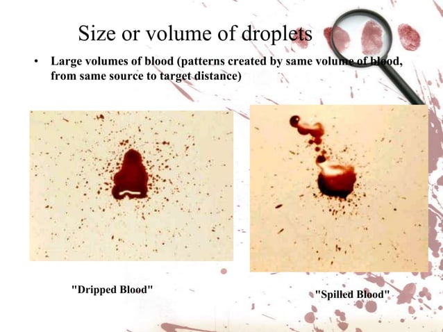 Blood spatter analysis | PPTX
