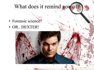 Dexter Blood Spatter Analysis