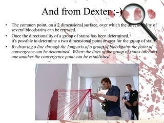 Dexter Blood Spatter Analysis