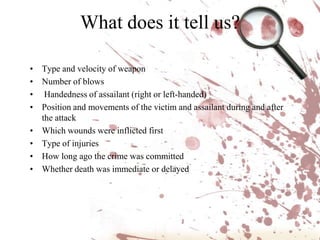 Blood Spatter Analysis Types