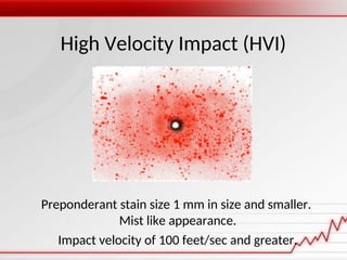 Blood spatter analysis is essential in forensic analysis, blood play ...