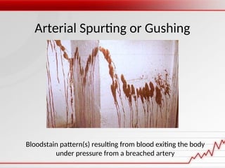 Blood spatter analysis is essential in forensic analysis, blood play ...