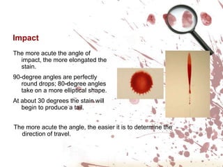 Blood spatter analysis ppt | PPTX