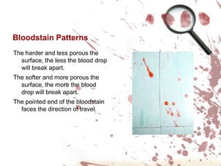 Blood spatter analysis ppt