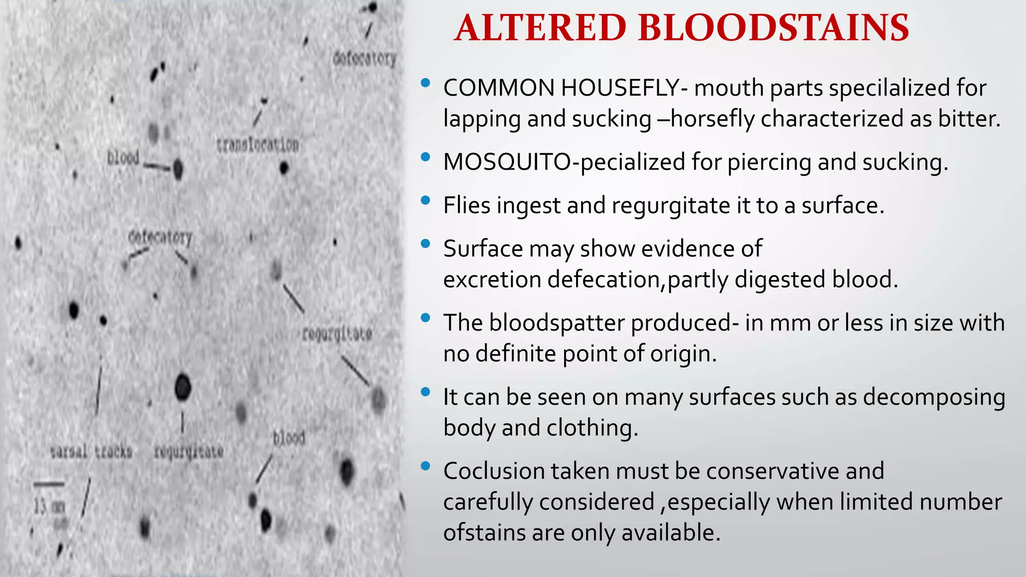 Blood spatter interpretation-FORENSIC SEROLOGY | PPTX