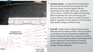 Blood spatter interpretation-FORENSIC SEROLOGY | PPTX