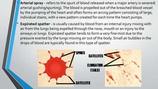 Blood spatter interpretation-FORENSIC SEROLOGY | PPTX