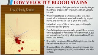 Blood spatter interpretation-FORENSIC SEROLOGY | PPTX