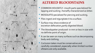 Blood spatter interpretation-FORENSIC SEROLOGY | PPTX