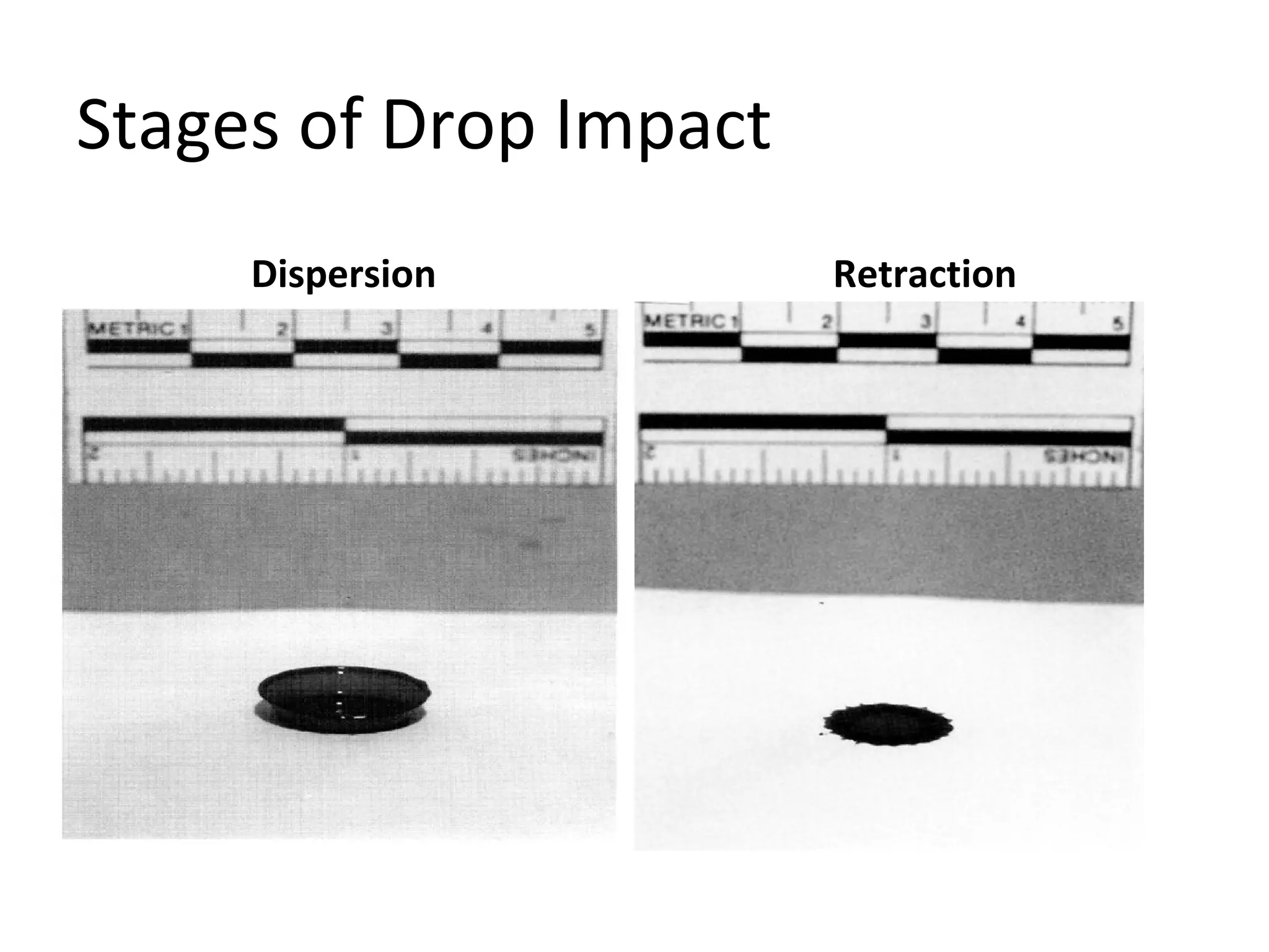 Blood Spatters Analysis | PPT